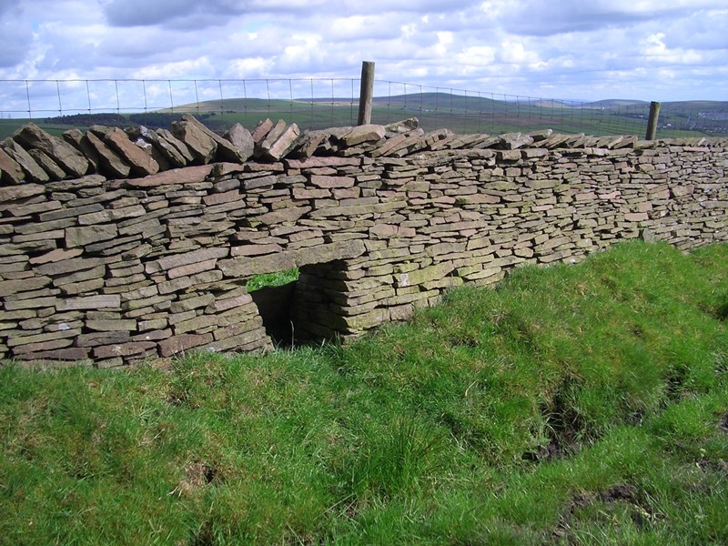 Stone in the countryside - Valley of Stone